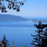 Chuckanut Ridge Trail, Washington - 403 Reviews, Map | AllTrails