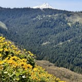 Weldon Wagon Road Trail, Washington - 532 Reviews, Map | AllTrails