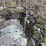 Lewis Spring Falls Trail, Virginia - 1,433 Reviews, Map | AllTrails