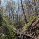 6 Ravine Challenge, Indiana - 901 Reviews, Map | AllTrails
