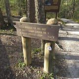 Rock Bridge Trail, Kentucky - 3,391 Reviews, Map | AllTrails