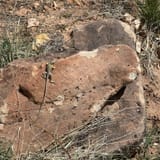 Cape Solitude Trail, Arizona - 11 Reviews, Map | AllTrails