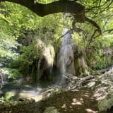 Gorman Falls and Gorman Springs, Texas - 223 Reviews, Map | AllTrails