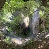 Gorman Falls and Gorman Springs, Texas - 223 Reviews, Map | AllTrails