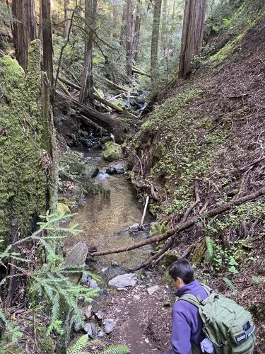 Best Historic Site Trails in Mill Valley | AllTrails