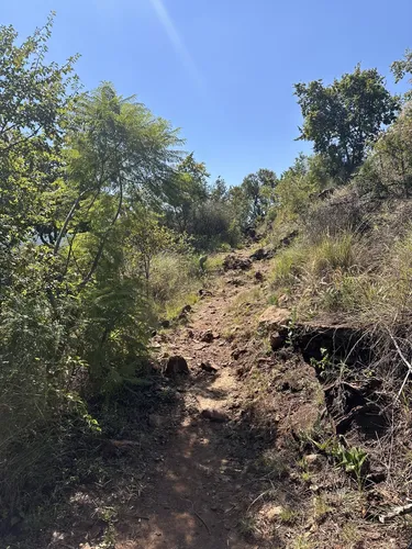 Best Hikes and Trails in Groenkloof Nature Reserve | AllTrails
