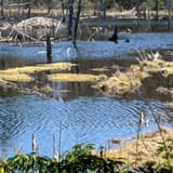 Monson Community Loop, New Hampshire - 268 Reviews, Map | AllTrails