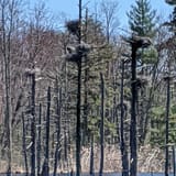 Monson Community Loop, New Hampshire - 268 Reviews, Map | AllTrails