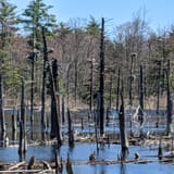 Monson Community Loop, New Hampshire - 268 Reviews, Map | AllTrails