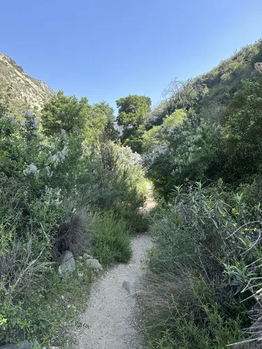 Best River Trails in Sunland-Tujunga | AllTrails