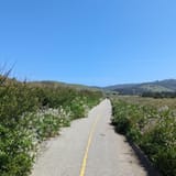 Mori Point Loop Trail, California - 5,001 Reviews, Map | AllTrails