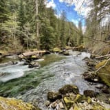 Duckabush River Trail to Five Mile Camp, Washington - 882 Reviews, Map ...
