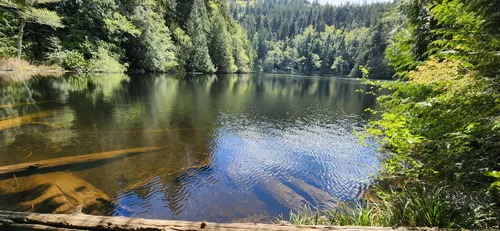 Best Trail Running Trails in Larrabee State Park | AllTrails