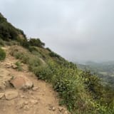 Wisdom Tree, Cahuenga Peak and Mount Lee Summit Loop, California ...