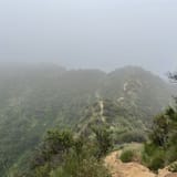 Wisdom Tree, Cahuenga Peak and Mount Lee Summit Loop, California ...