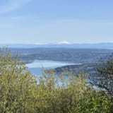 Big Tree Ridge Trail, Washington - 667 Reviews, Map | AllTrails