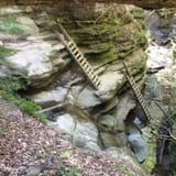 Turkey Run Outer Loop, Indiana - 634 Reviews, Map | AllTrails