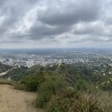 Runyon Canyon Trail, California - 8,233 Reviews, Map | AllTrails