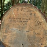 Lower Macleay Park to Pittock Mansion, Oregon - 4,329 Reviews, Map ...