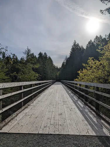 Best Forest Trails in Paldi | AllTrails