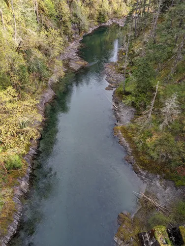 Best Forest Trails in Paldi | AllTrails