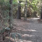 Burroughs Park Eastern Trail Loop, Texas - 799 Reviews, Map | AllTrails