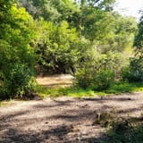 Burroughs Park Eastern Trail Loop, Texas - 799 Reviews, Map | AllTrails