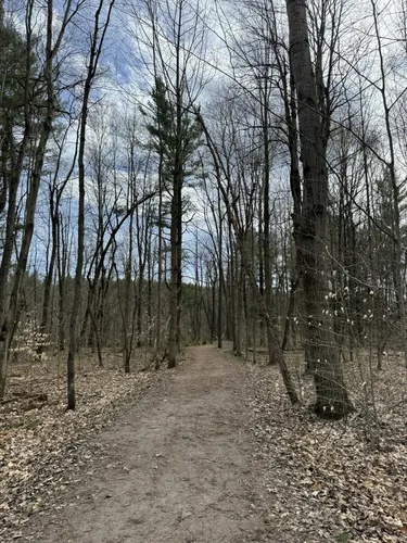 Best Wild Flowers Trails in Potsdam | AllTrails