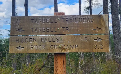 10 Best Long Trails in Yacolt Burn State Forest | AllTrails