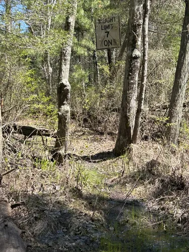 Best Moderate Trails in Wharton State Forest | AllTrails