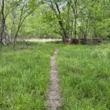 Meramec Greenway Trail, Missouri - 644 Reviews, Map | AllTrails