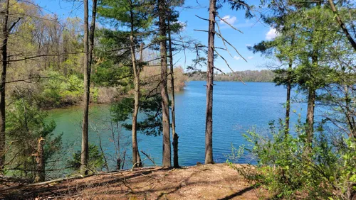 Best Walking Trails in Spring Grove | AllTrails