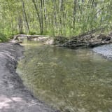 White River Trail, Washington - 383 Reviews, Map | AllTrails