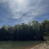 Nottely Reservoir Trail, Georgia - 952 Reviews, Map | AllTrails