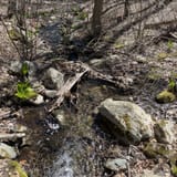 Tippling Rock and Fords Folly, Massachusetts - 660 Reviews, Map | AllTrails