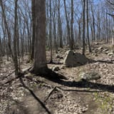 Tippling Rock and Fords Folly, Massachusetts - 660 Reviews, Map | AllTrails