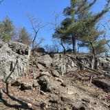 Tippling Rock and Fords Folly, Massachusetts - 588 Reviews, Map | AllTrails