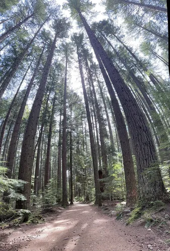 Best Hikes and Trails in UBC Endowment Lands | AllTrails