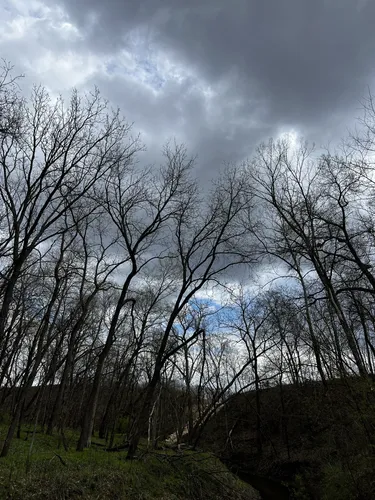 Best Hikes and Trails in Holmen | AllTrails