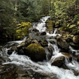 Annette Lake Trail, Washington - 5,601 Reviews, Map | AllTrails