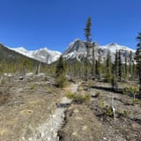 Emerald Lake Loop, British Columbia, Canada - 2,444 Reviews, Map ...