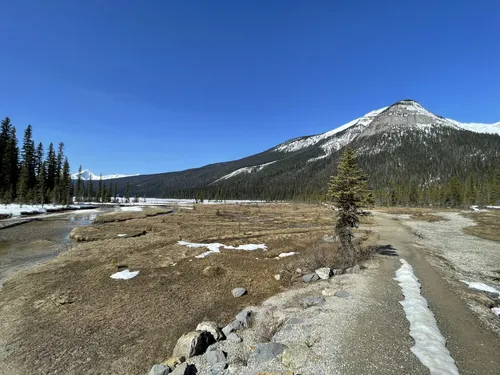 Best Easy Trails in Field | AllTrails