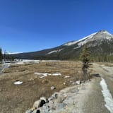 Emerald Lake Loop, British Columbia, Canada - 2,470 Reviews, Map ...