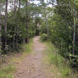 Apoxee and Owahee Trail Loop, Florida - 401 Reviews, Map | AllTrails