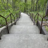 Springfield Conservation Nature Center Trail Loop, Missouri - 1,227 ...