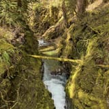 Sol Duc Falls Trail, Washington - 4,652 Reviews, Map | AllTrails