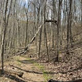 Jarrard Gap, Slaughter Creek, and Appalachian Trail Loop, Georgia - 380 ...