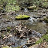 Jarrard Gap, Slaughter Creek, and Appalachian Trail Loop, Georgia - 380 ...