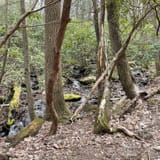 Jarrard Gap, Slaughter Creek, and Appalachian Trail Loop, Georgia - 450 ...