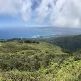 Waihe'e Ridge Trail, Maui, Hawaii - 8,571 Reviews, Map | AllTrails